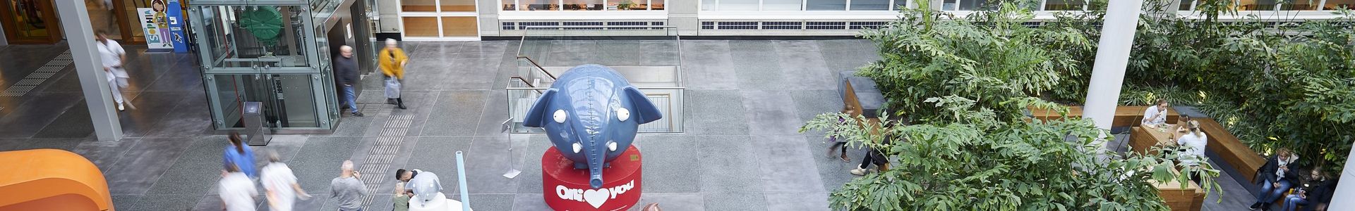 Nieuwe directeur Sophia Kinderziekenhuis - Nieuws - Erasmus MC