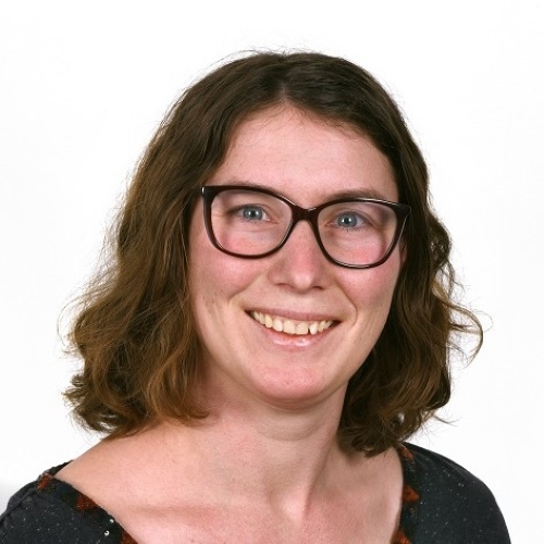 V. (Vera) van Dis, MD PhD - Researcher - Erasmus MC