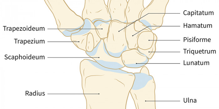 Diagnosing hand and wrist pathologies in primary care - Research ...